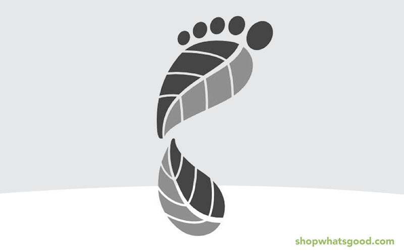 What's Your Ecological Footprint? - What's Good